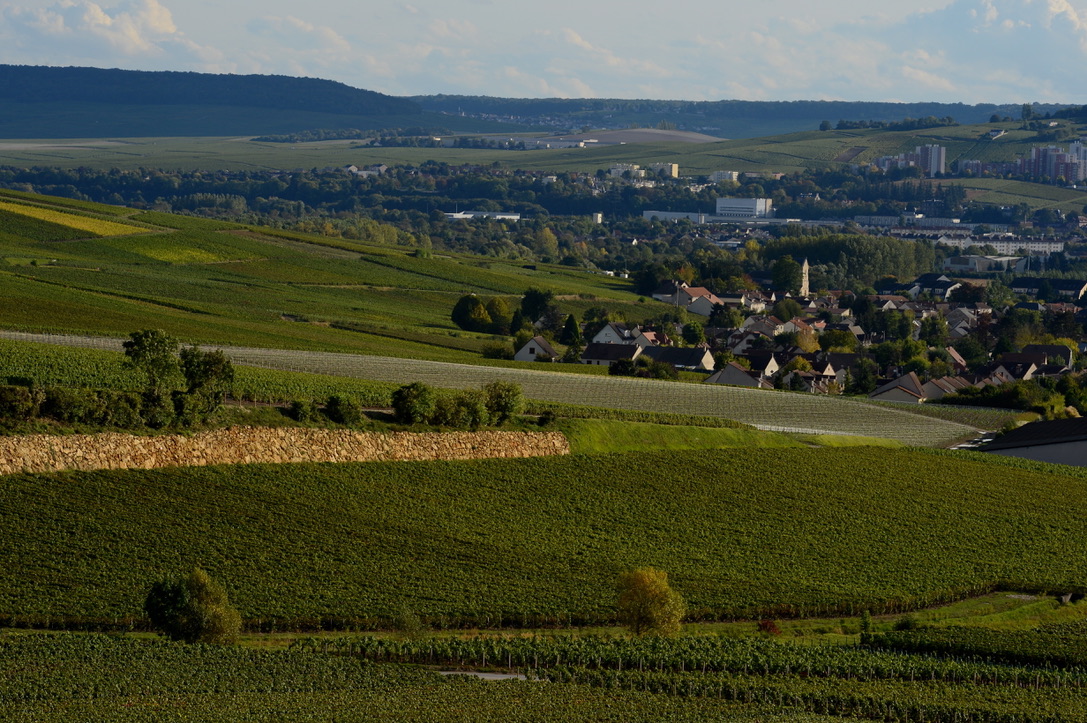 La version 2020 de la certification de la Viticulture Durable en ...